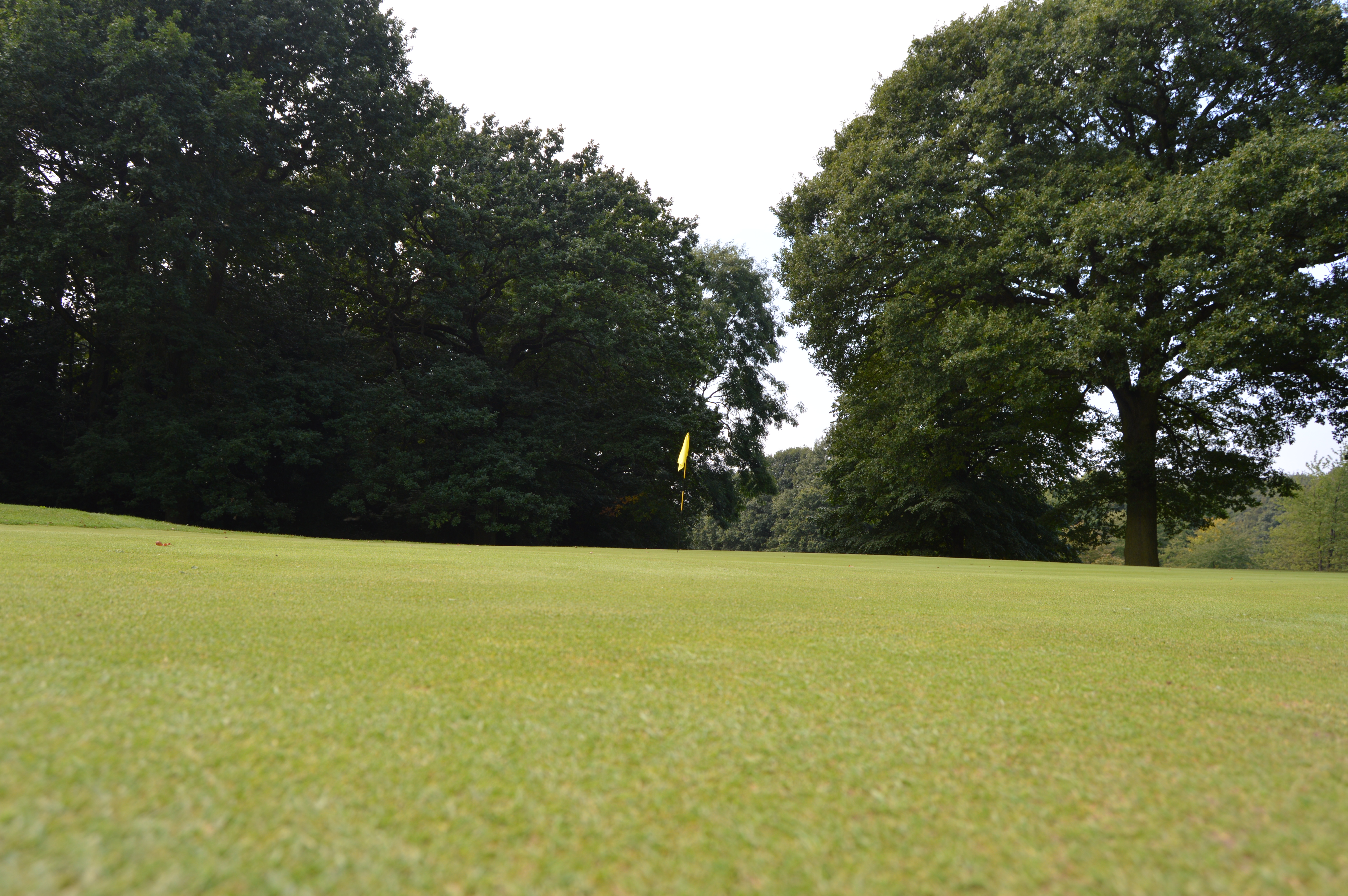Crookhill Park Golf Course | Doncaster Culture & Leisure Trust
